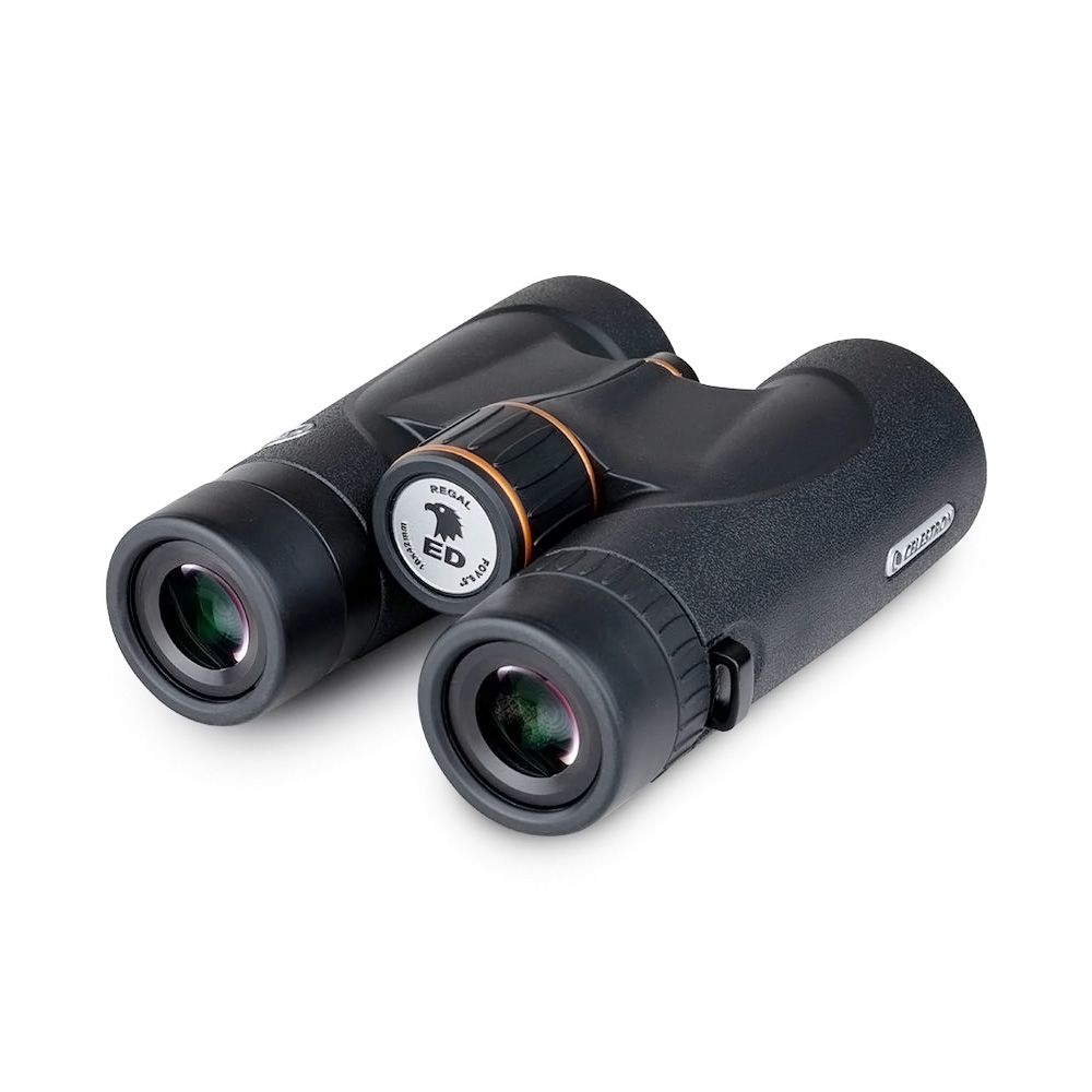 Celestron Regal ED 10x42 Flat Field Binoculars | First Light Optics